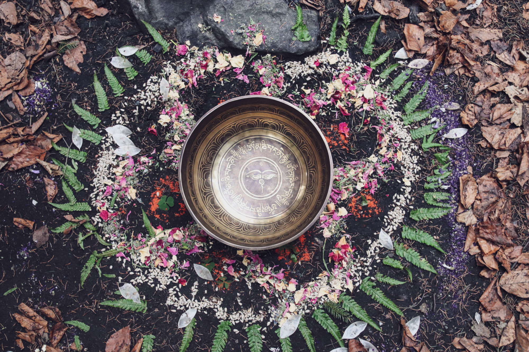 Víra v sebe sama | 5 PILÍŘŮ ZDRAVÍ